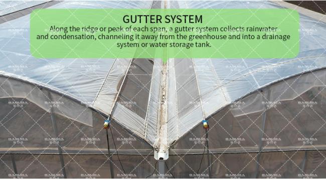 Greenhouse ventilation system