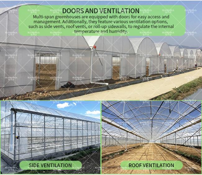 Greenhouse irrigation system