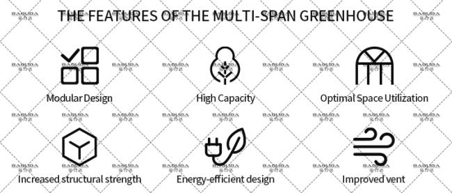 Greenhouse flower cultivation