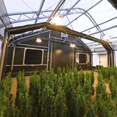 China Auto Light Dep Blackout System Greenhouse 100% Shading Marijuana Growing for sale