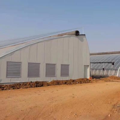 China Single Span Tunnel Solar Greenhouses With Double Wall And Insulating Blanket for sale