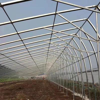 China Single Span Tunnel Solar Greenhouses With Double Wall And Insulating Blanket for sale