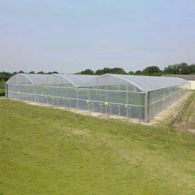 China Galvanized Steel Pipe Plastic Film Greenhouse Agricultural Multi Span for sale