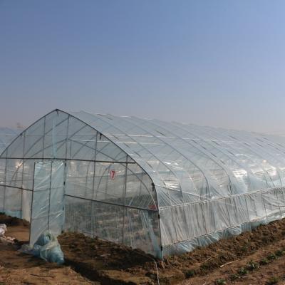 China Estufa plástica do túnel chinês exterior do arco transparente para o cultivo à venda