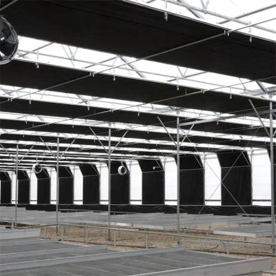 China Turnkey Project Usa Tunnel Automatic Blackout Greenhouse Agricultural Plant Growing for sale