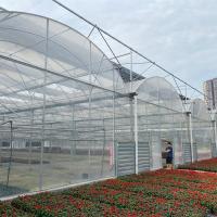 China Irrigation System Side Vent Multi Span Greenhouse With Automatic Watering System for sale