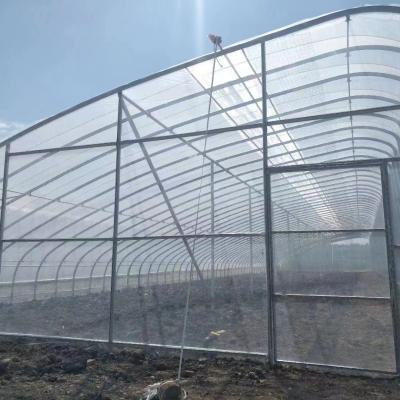 Cina Serra solare passiva a pellicola di plastica con supporto per la raccolta dell'acqua piovana in vendita