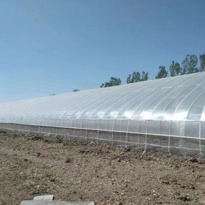 Cina Serra solare passiva a pellicola di plastica con supporto per la raccolta dell'acqua piovana in vendita