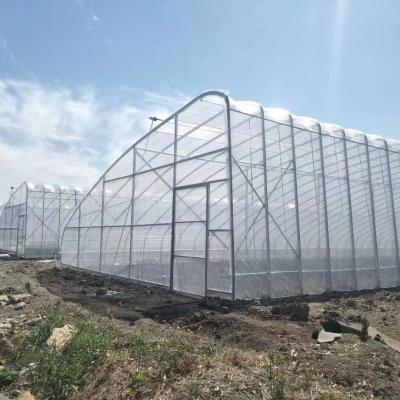 Cina Serra solare passiva a pellicola di plastica con supporto per la raccolta dell'acqua piovana in vendita
