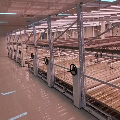 China 4 Wheels Greenhouse Rolling Benches With Wheel Lock And Hot Dip Galvanized Brackets for sale