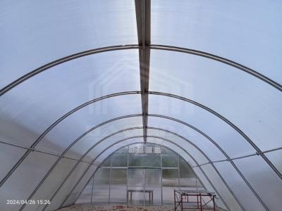 China Customizable Greenhouse with Stable Structure for Drying Plants and Foods for sale