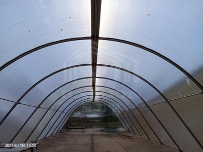 China Customizable Greenhouse with Stable Structure for Drying Plants and Foods for sale