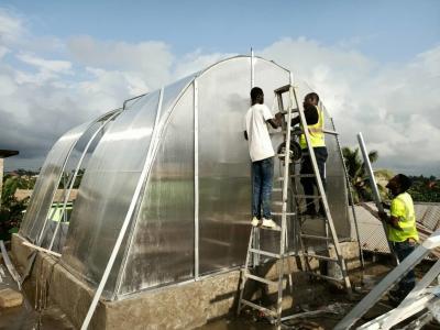 China Customizable Greenhouse with Stable Structure for Drying Plants and Foods for sale