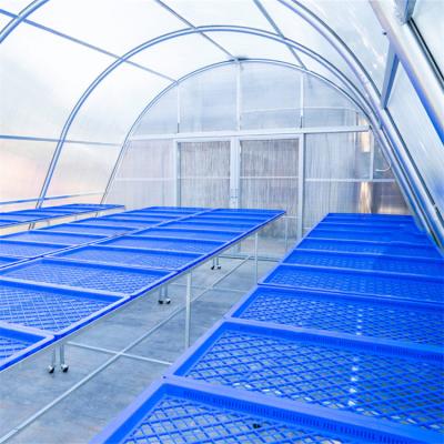Cina Consegna veloce 8*26 metri asciugatrice solare in serra asciugatura alimentare asciugatrice solare in serra in vendita