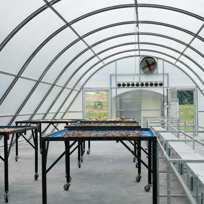 Cina Consegna veloce 8*26 metri asciugatrice solare in serra asciugatura alimentare asciugatrice solare in serra in vendita