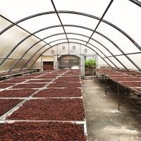 China Stable Structure Vegetable and Herb Drying Greenhouse with Advanced Ventilation Technology for sale
