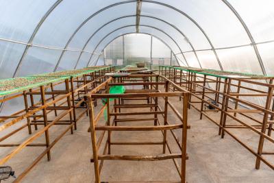 China Energy-Efficient Drying Greenhouse with Ventilation for Controlled Vegetable and Herb Drying for sale