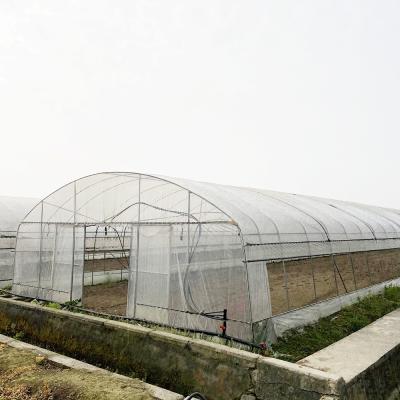 China 6x15m Tunnel Greenhouse For Flower And Vegetable Farming Projects for sale