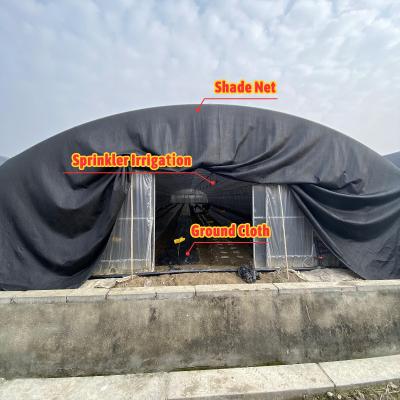 중국 BAOLIDA 경제 농업 흑색 그림자 네트워크 터널 필름 온실 버섯 판매용