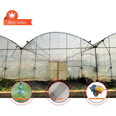 중국 큰 PE 필름 온실 50m 길이 7-10m 스펜 너비 판매용