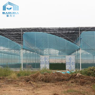 Китай Большая многопролетная пленочная теплица из полиэтиленовой пленки, ширина 6-12 м, гарантия 10 лет продается