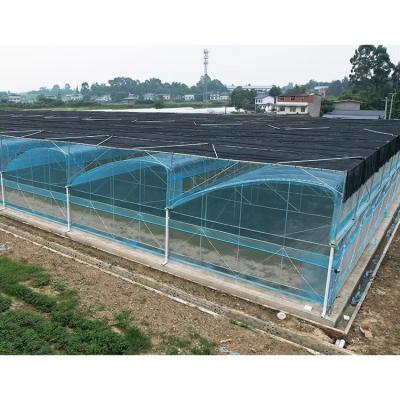 Китай Многопролетный тепличный комплект из полиэтиленовой пленки, ширина 6-12 м, гарантия 10 лет продается