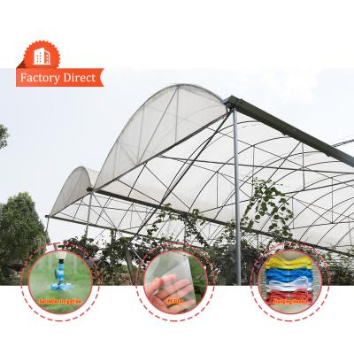 China PE Film Covering Rain Shelter Greenhouse with Hot Galvanized Steel Frame and Customizable Size for Plants Cultivation for sale