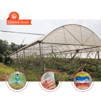 China Large Size Rain Shelter Greenhouse with PE Film Covering and Hot Galvanized Steel Frame for Plants Cultivation for sale