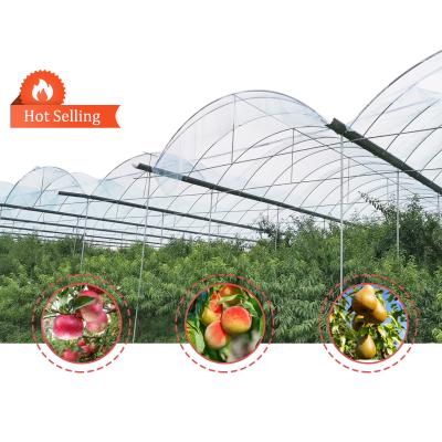 China Customizable Size Hot Dipped Galvanized Steel Frame PE Film Covering Rain Shelter Greenhouse for Plants Cultivation for sale