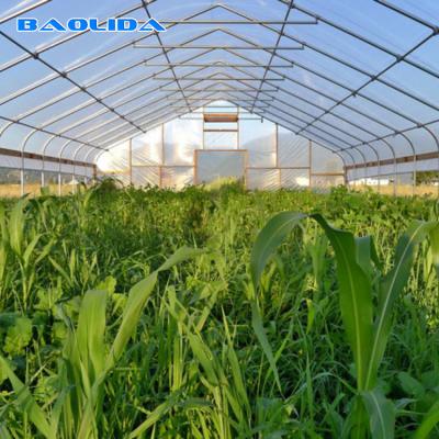 Cina Annuncio pubblicitario agricolo della serra di rivestimento di plastica del polietilene del film del PE in vendita
