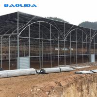 China Side Ventilation Clear Multi Span Greenhouse With Outside Shading System for sale