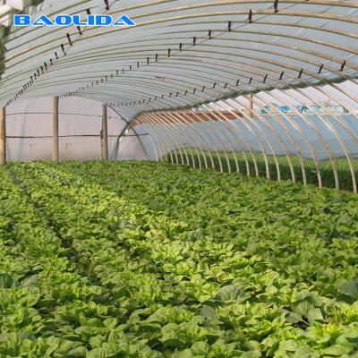 Cina Piccoli all'aperto dell'anti insetto coltivano la tenda per la serra del film commerciale di Polytunnel in vendita