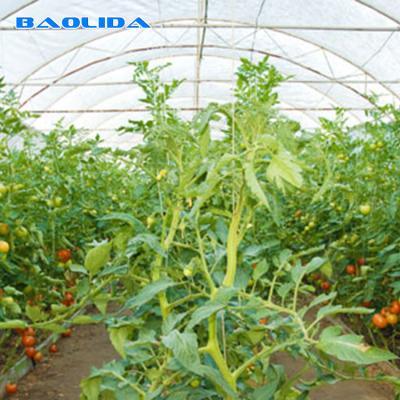 Cina Piccoli all'aperto dell'anti insetto coltivano la tenda per la serra del film commerciale di Polytunnel in vendita
