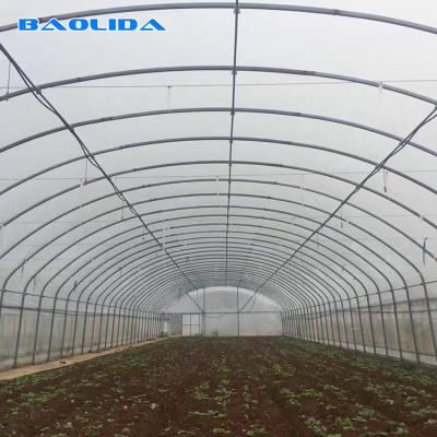 China Flower Quick Tent Greenhouse With Cooling System Dome Pe Film Covering for sale