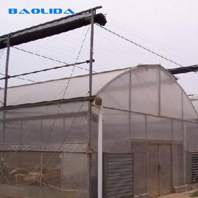 Cina Grande serra del film plastico/serre 20m - 100m di agricoltura lungo in vendita