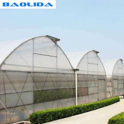 Cina La copertura a shed scarica la serra del film plastico per progettazione speciale di clima tropicale in vendita