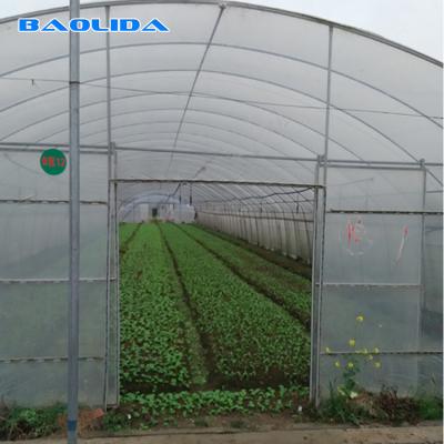 China Galvaniseerde de Hete Onderdompeling van de lage of Hoge Tunnel Plastic Serre Hoog Breedtegebied Te koop