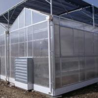 China Venlo Type Greenhouse for sale