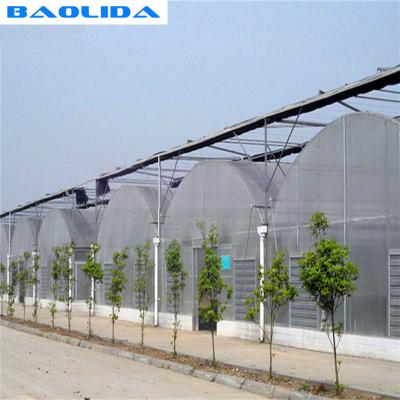 China Long Life Span Heavy Duty Plastic Greenhouse High Large Size Available for sale
