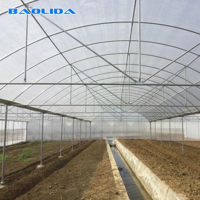 China Wind-Resistant High-Quality Crop Growth Plastic Wrap 8 Mil Multi Span Greenhouse for sale