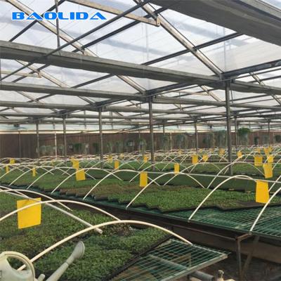 Cina Banchi commerciali della serra di rotolamento del cavo di semenzaio per i fiori in vendita