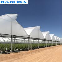 China Top Ventilation Multi Span Plastic Tunnel Greenhouse Rustproof for sale