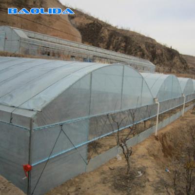 China Agricultural High Tunnel Gutters Air Circulation Tunnel Growing 8m Multi Span Greenhouse for sale