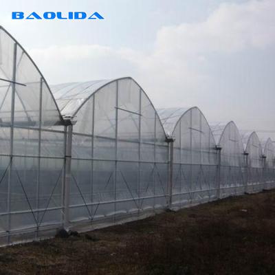 China Agricultural High Tunnel Gutters Air Circulation Tunnel Growing 8m Multi Span Greenhouse for sale