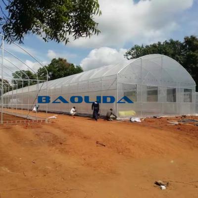 China 6m Agricultural Greenhouse Polyethylene Film Greenhouse For Flower Cultivation for sale