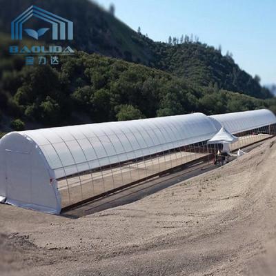 Cina La singola serra della portata del tunnel bianco nero un film da 150 micron non ha riguardato saldatura in vendita