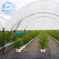 China Top Ventilation Multi Span Plastic Tunnel Greenhouse Rustproof for sale