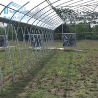 China Top Ventilation Multi Span Plastic Tunnel Greenhouse Rustproof for sale