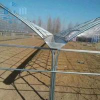 China Top Ventilation Multi Span Plastic Tunnel Greenhouse Rustproof for sale