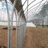 China Top Ventilation Multi Span Plastic Tunnel Greenhouse Rustproof for sale